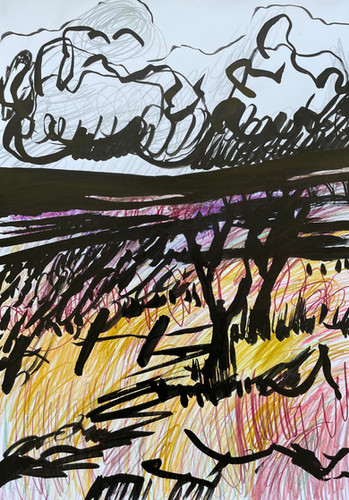 Grass Field | Chanel Sohier