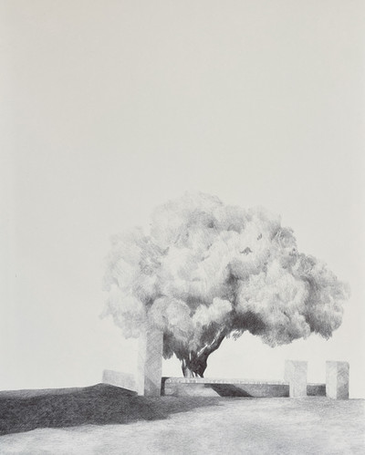 Tree Behind a Brick Fence | Chanel Sohier