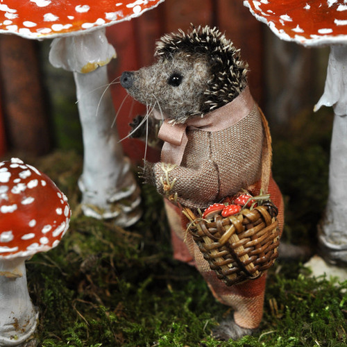 Mr Hedgehog the little mushroom picker | Picwool