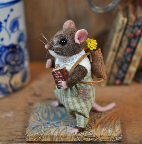 Little poet dormouse | Picwool