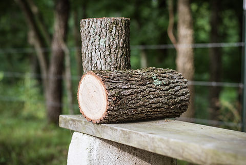 Oak Wood Logs