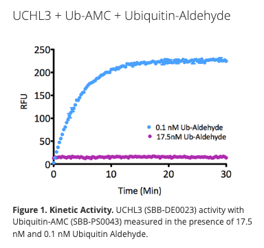 Ubiquitin-Aldehyde | South Bay Bio