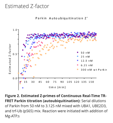 Parkin E3 Ligase TR-FRET Kit | South Bay Bio