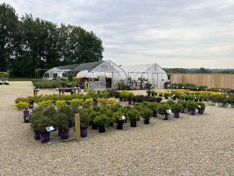 THE PLANT SHACK | DeCook Landscaping