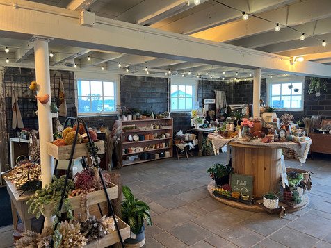 THE PLANT SHACK | DeCook Landscaping