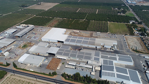 Nut Ingredients | Goodness Ingredients, LLC | Hughson, CA