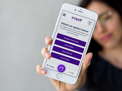 Snappit | Bridging Finance