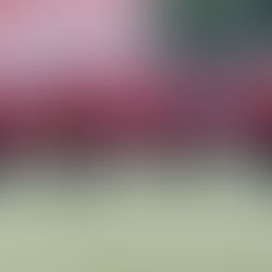 Flora Band orkesten | Rijnsburg