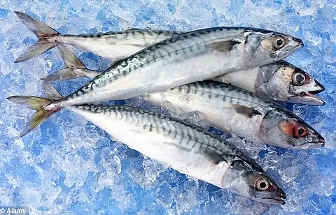 Titus Fish Titus Fish Extras (6Pcs) In Lagos – BUYSOUPS.NG