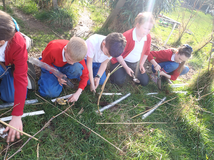 Sticklepath School | Forest School Gallery