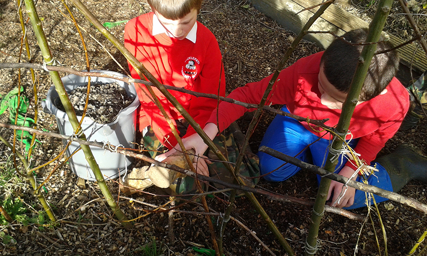 Sticklepath School | Forest School Gallery