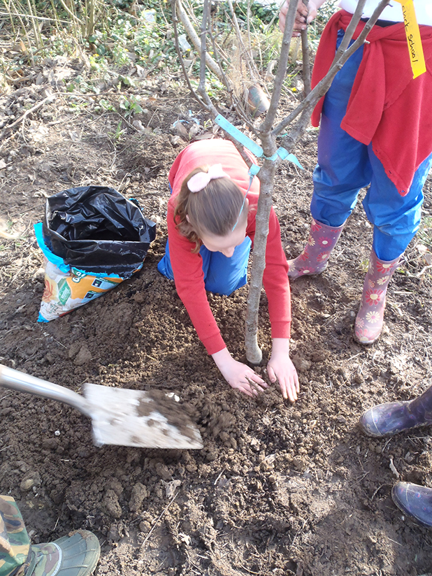 Sticklepath School | Forest School Gallery
