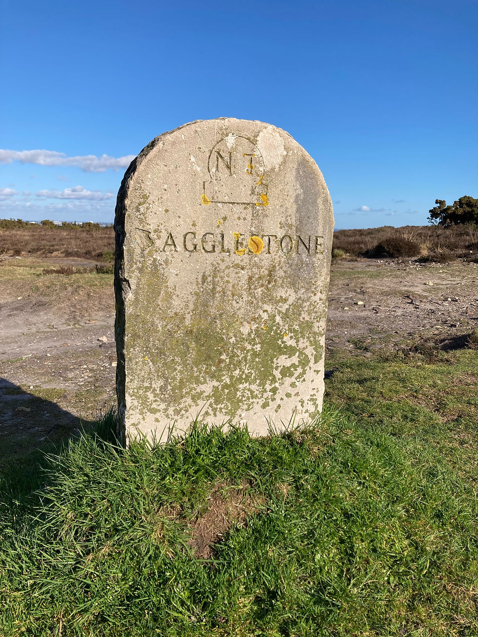New Route Announced for 2024! The Agglestone and South Harbour