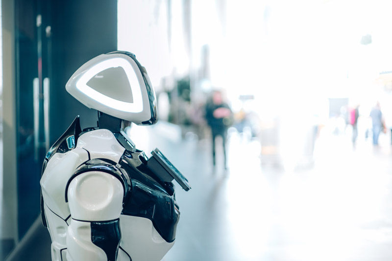 Service Robots: Their Roles and Applications Explored