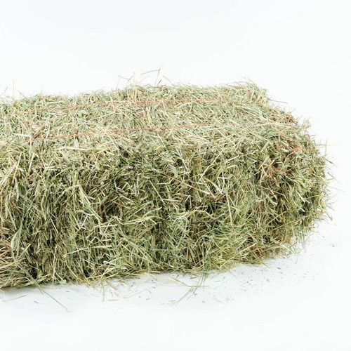 1 BALE GRASS | Southwest Cuttings