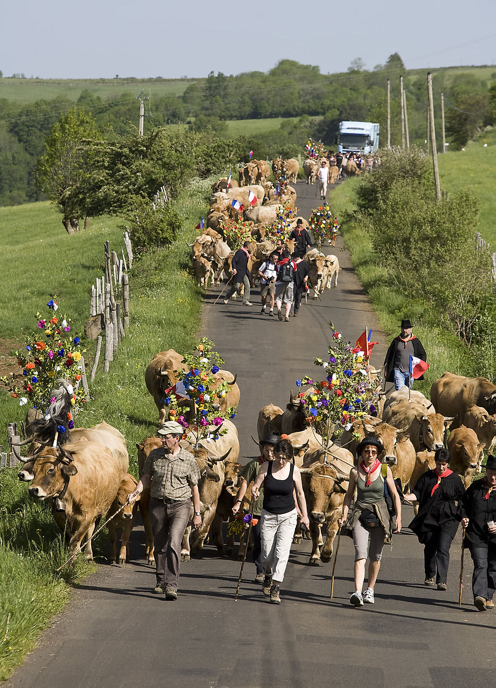 Transhumance en camping-car | La Montagnette