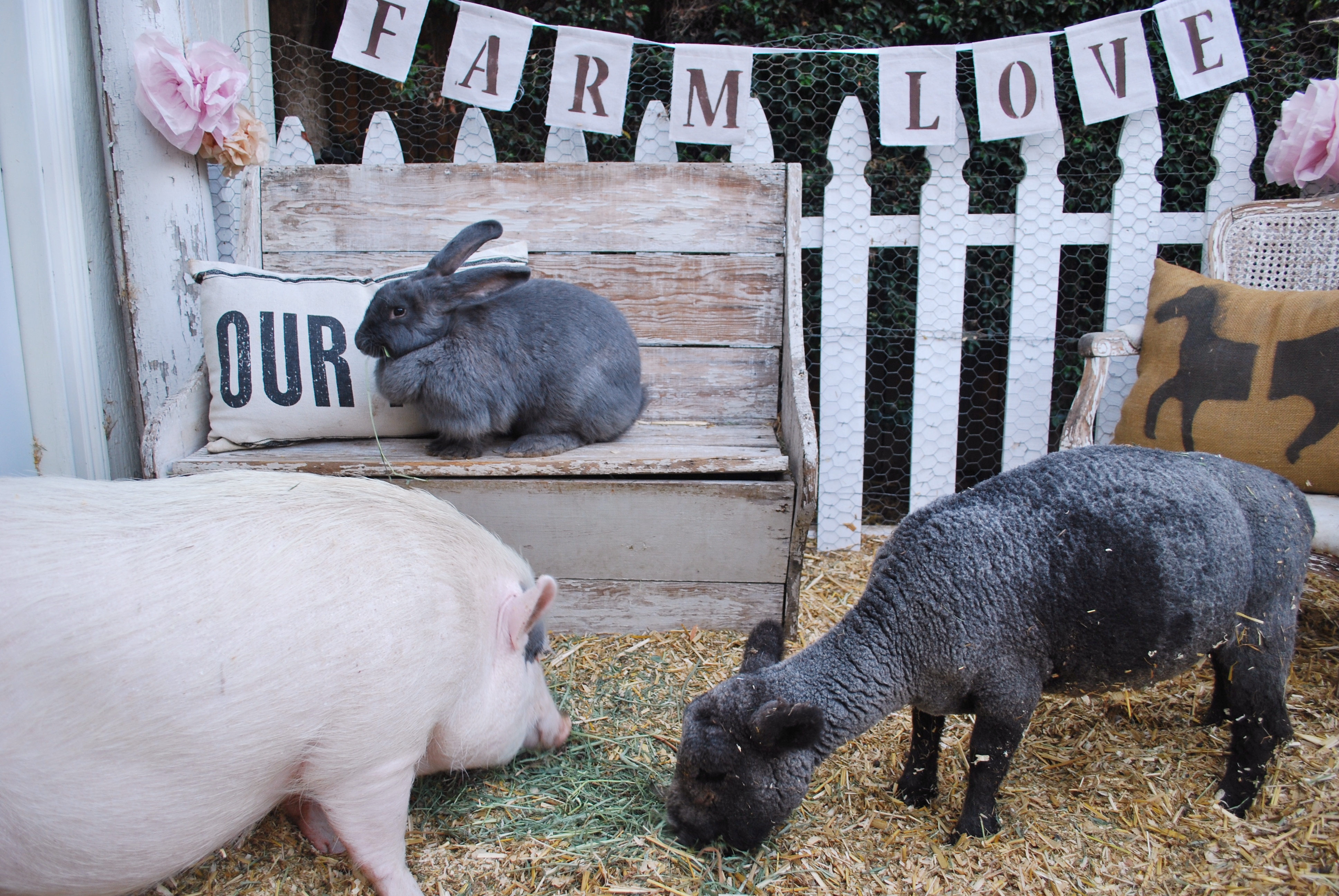 Farm Visits | lhop-2015