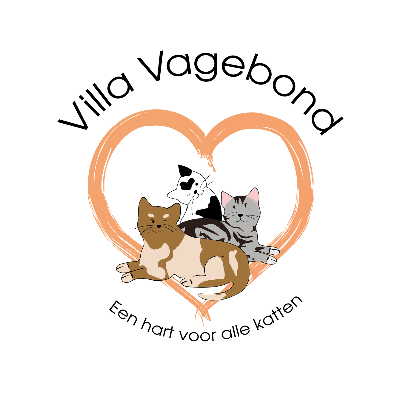 Home | Villa Vagebond