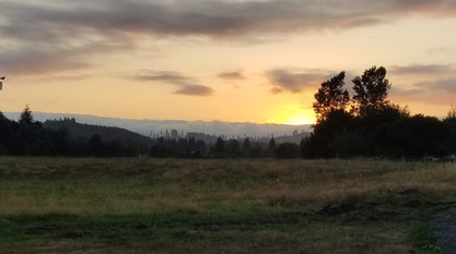 Home | Sterling Springs