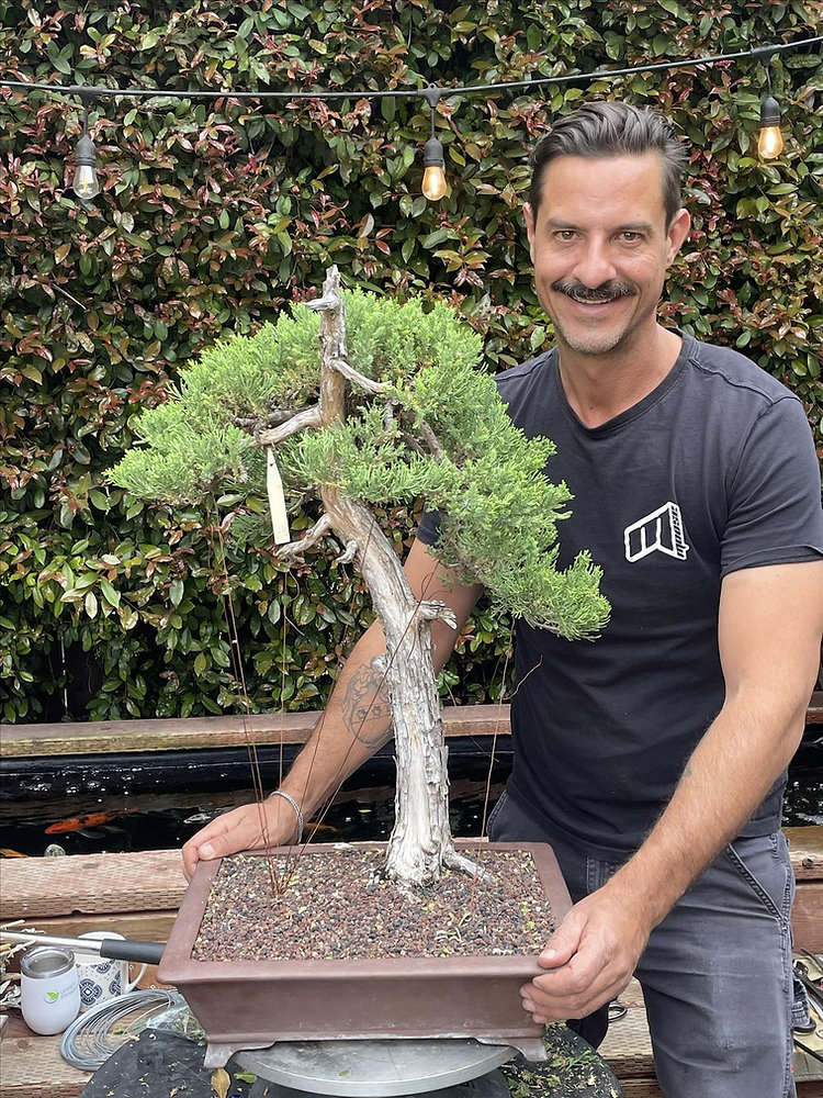 NEW BEGINNER WORKSHOPS TO GET YOU STARTED IN BONSAI!