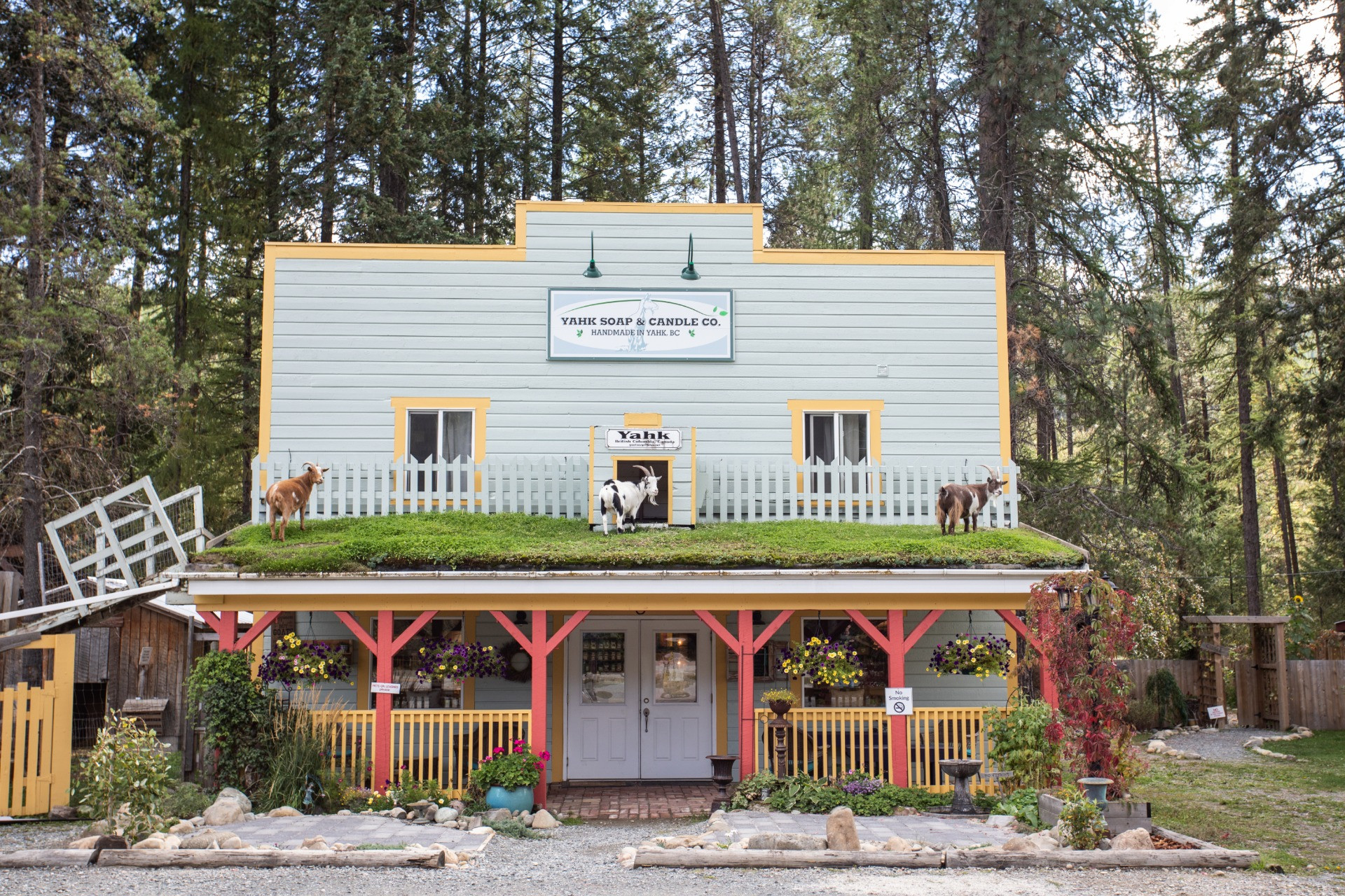 Journey to Yahk N' Back - A Guide to Exploring BC's Quirkiest Village