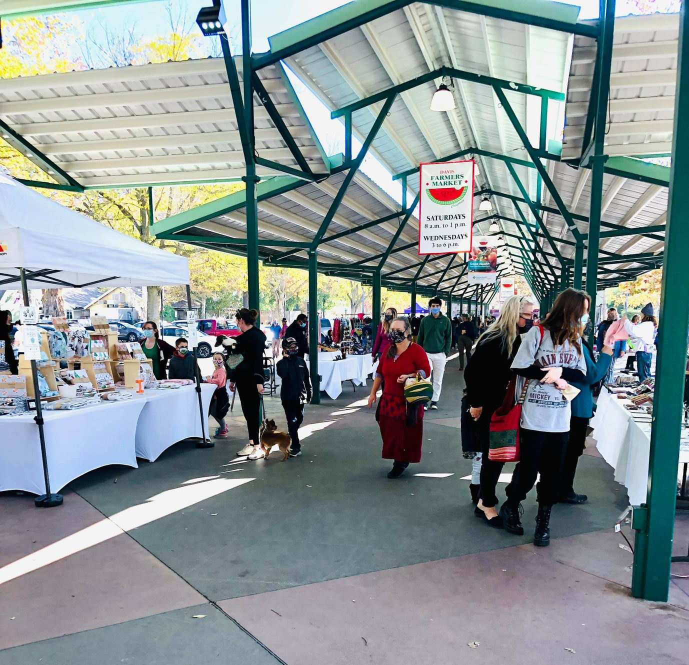 square tomatoes davis