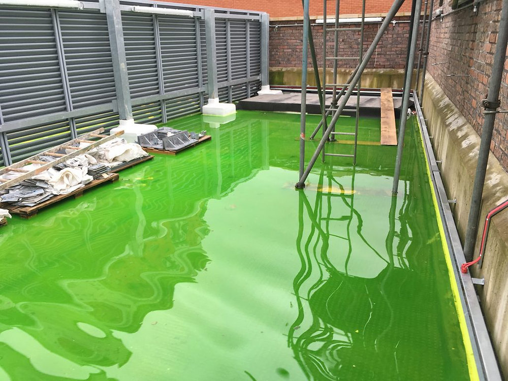 Flood Testing for Building Leak Investigations