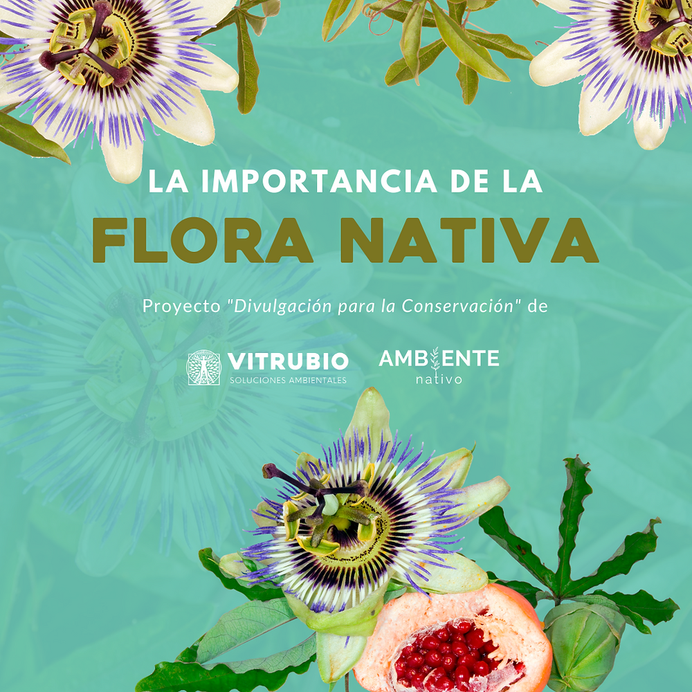 Proyecto Flora Nativa