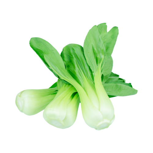Siew Pak Choy | Agrigentech Sdn Bhd