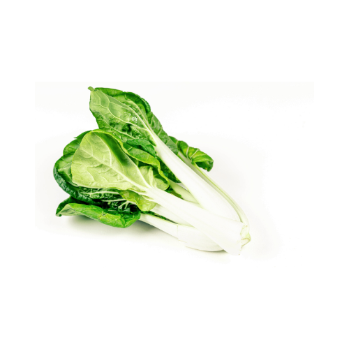 white Pak Choy | Agrigentech Sdn Bhd