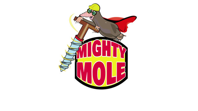 Mighty Mole Ground Screws for decking and garden room subframes
