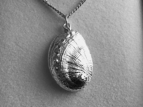 Silver Large Ormer Shell/ chain | GUERNSEY JEWELLERY