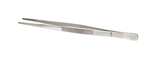 Insect feeder tongs | Kristins Bugs