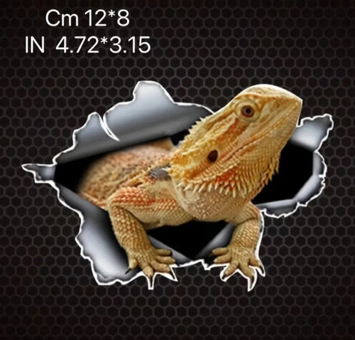 Bearded Dragon Car Sticker | Kristins Bugs