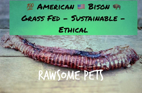 Giant Bison Trachea 🦬 | Rawsome Pets