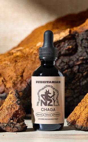 Chaga Mushroom Drops 60ml | Rawsome Pets