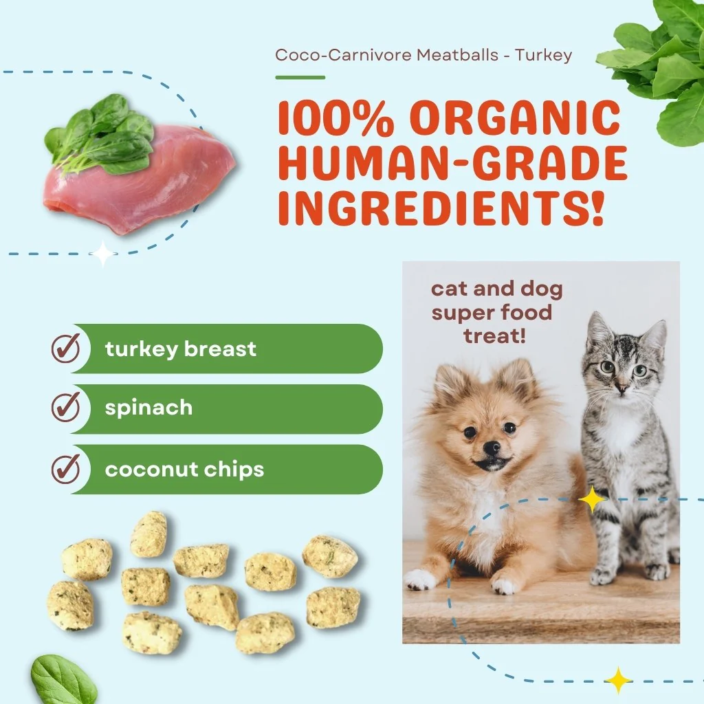 Coco-Carnivore Meatballs Turkey | Rawsome Pets