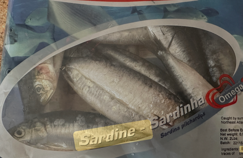 Wild Caught Frozen Sardines 2-pounds | Rawsome Pets