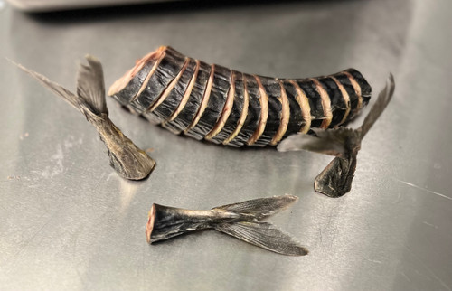 Wild Caught Mackerel | Freeze Dried Treats | Rawsome Pets