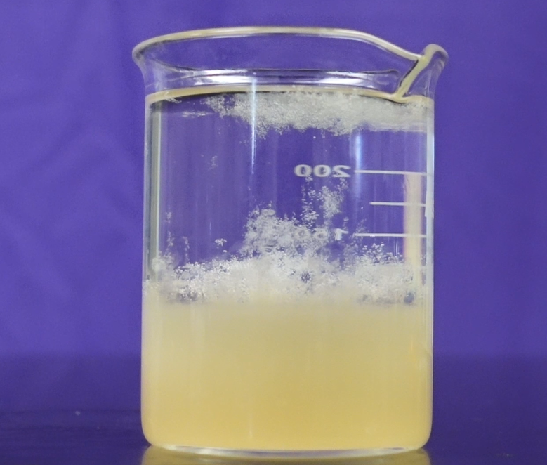 Banana DNA Extraction: Visualizing Deoxyribonucleic Acid | CRSci