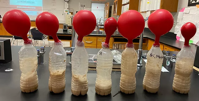 Carbon Dioxide Balloons: Visualizing Decomposition and Nutrient Cycling ...