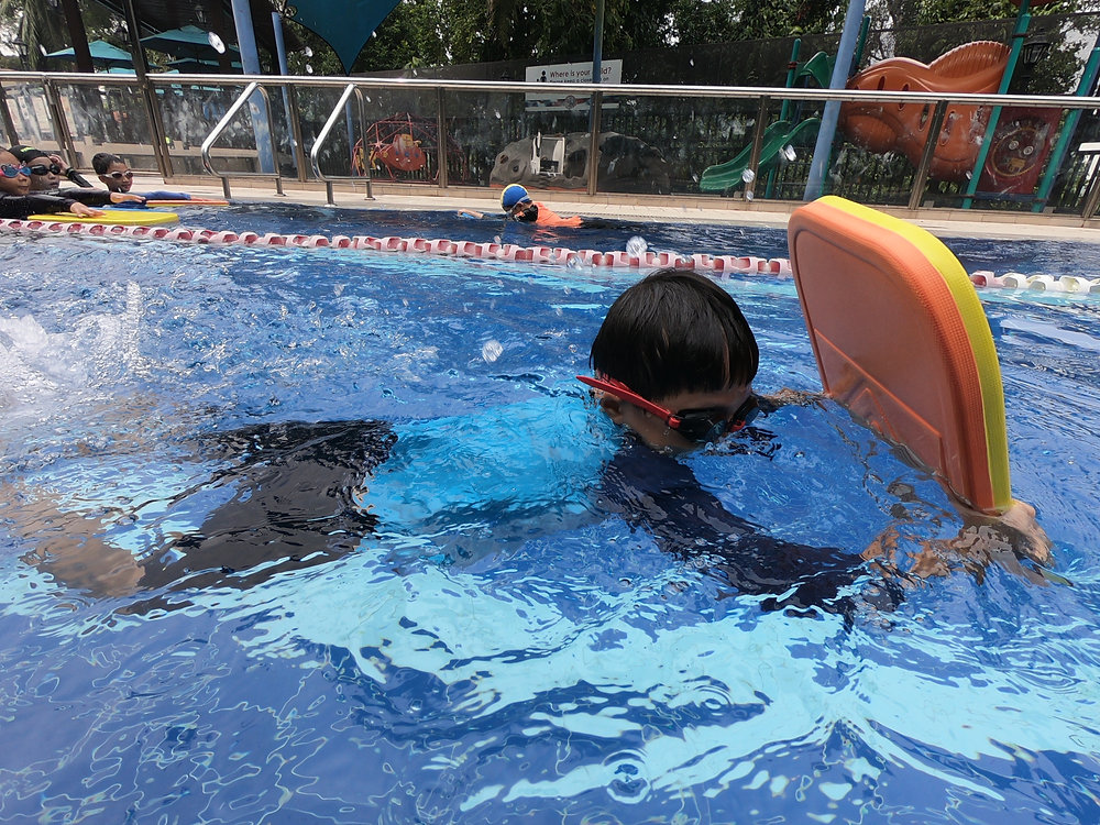 How to Balance Technique and Endurance Training in Swimming Lessons