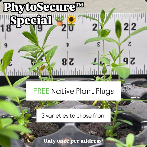Free Native Plants! | Brymal Plants