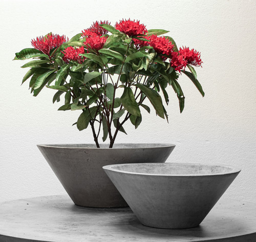 CONICAL | Planetzero.earth