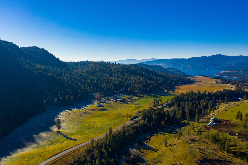 Home | Cedonia Hills Farm Hunters Stevens County Washington