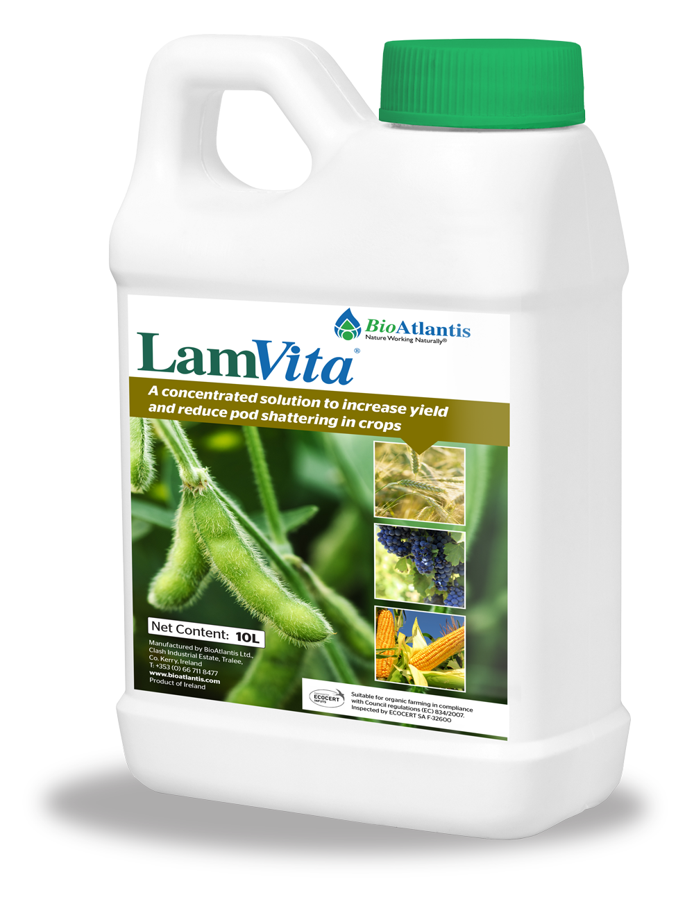 Lamvita | Bioatlantis