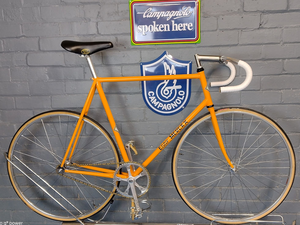 Vintage Eddy Merckx Pista Hour Record Tribute Bike 58cm | classicandvintage