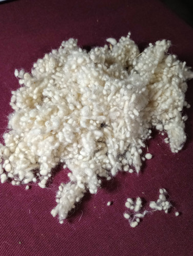 Wool Nepps - Natural 20grams | Glenora Weaving Shop