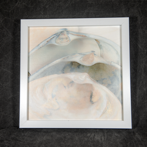 WF8 11X11 Custom Framed "Inverted Shells" | Hamm's Art Studio