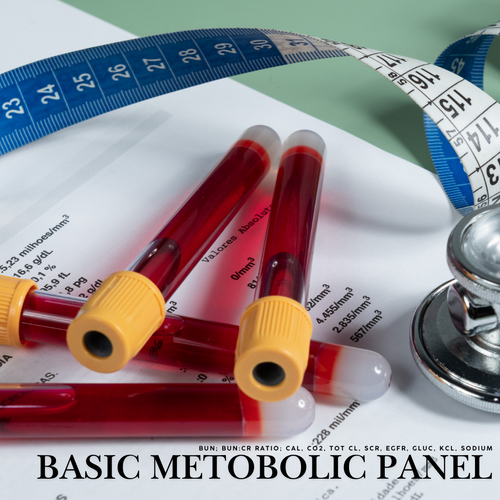 Basic Metabolic Panel | Lab Montana